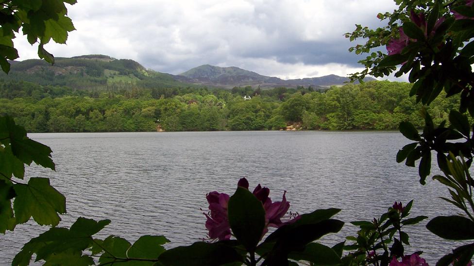 Your Pictures of Scotland: 17-24 June 2011 - BBC News