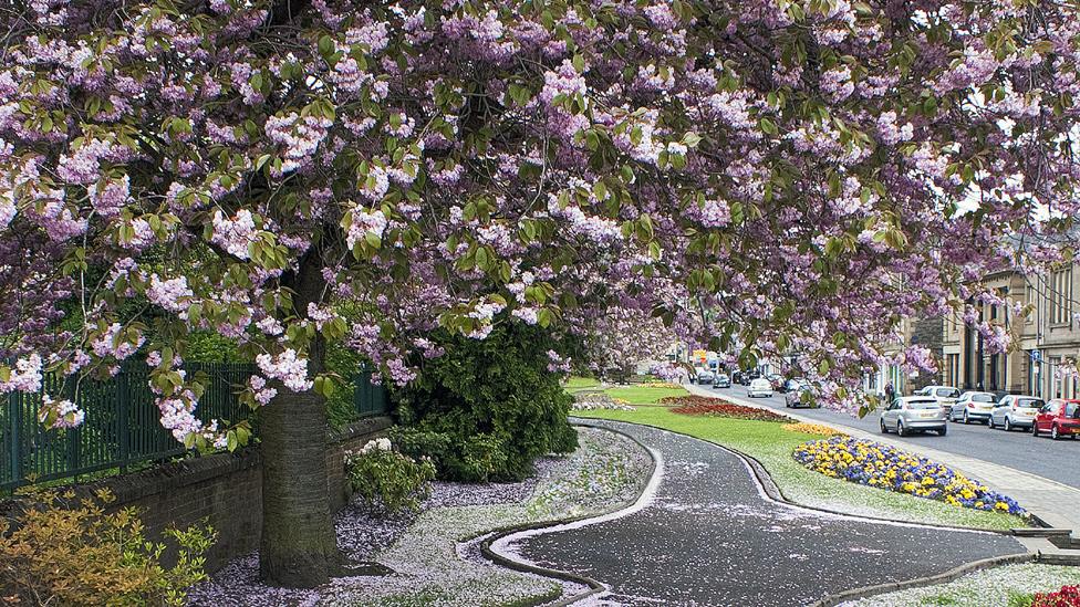 Your Pictures of Scotland: 17-24 June 2011 - BBC News