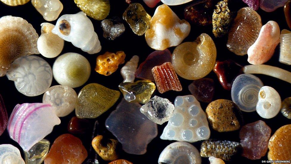 Mega close-up pictures of sand! - BBC Newsround