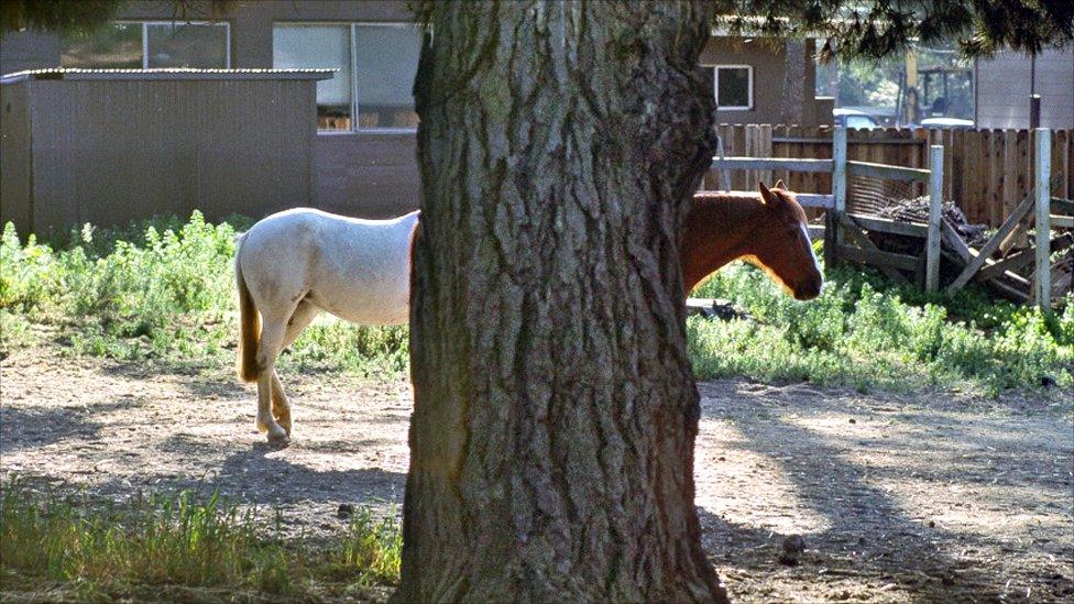 Your pictures: Hidden - BBC News