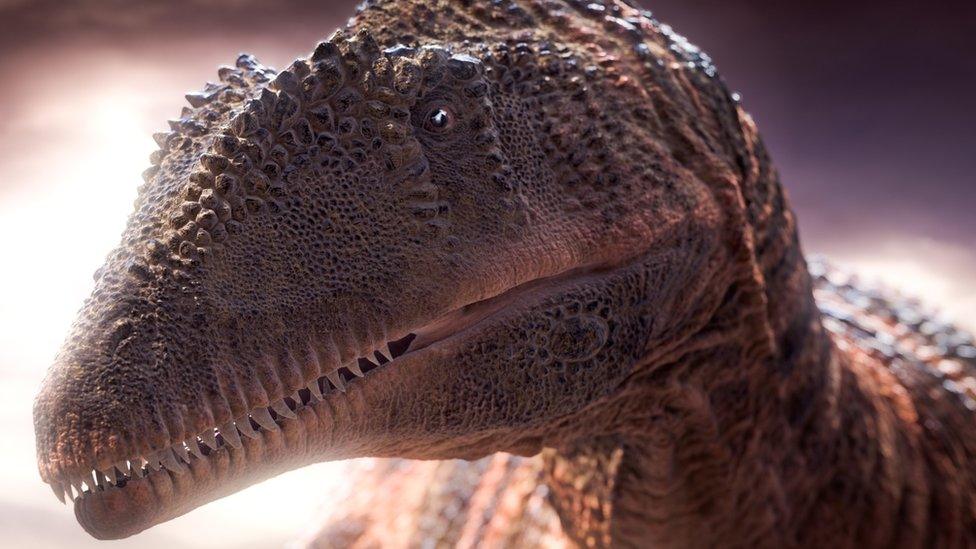 Planet Dinosaur : see some lesser-known dinosaurs - BBC Newsround