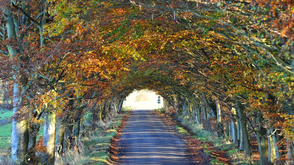 Your pictures of Scotland: 4 - 11 November - BBC News