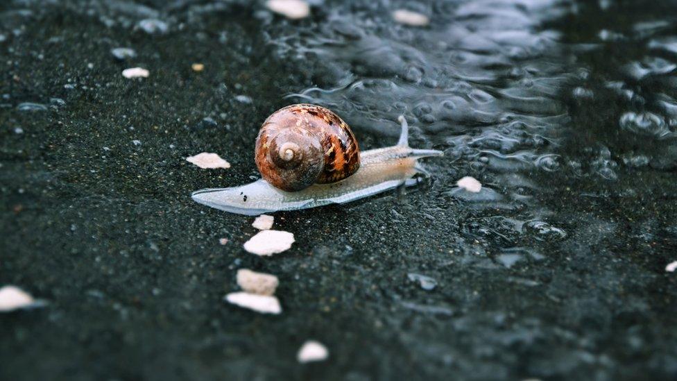 Your pictures: Rain - BBC News