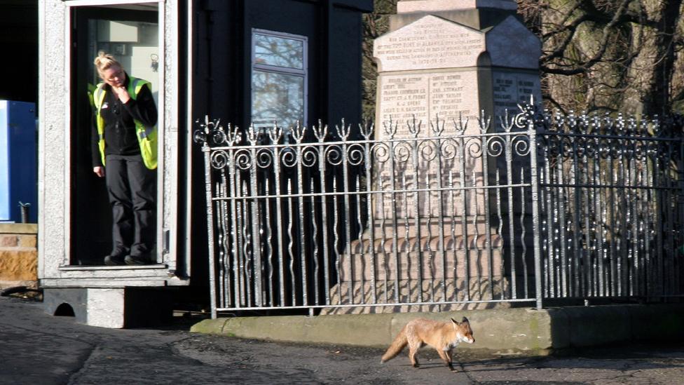 Your pictures of Scotland: 25 November - 2 December - BBC News