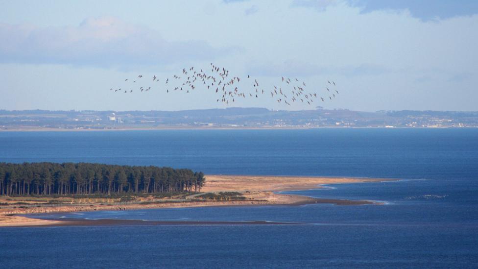 Your pictures of Scotland: 20 - 27 January - BBC News