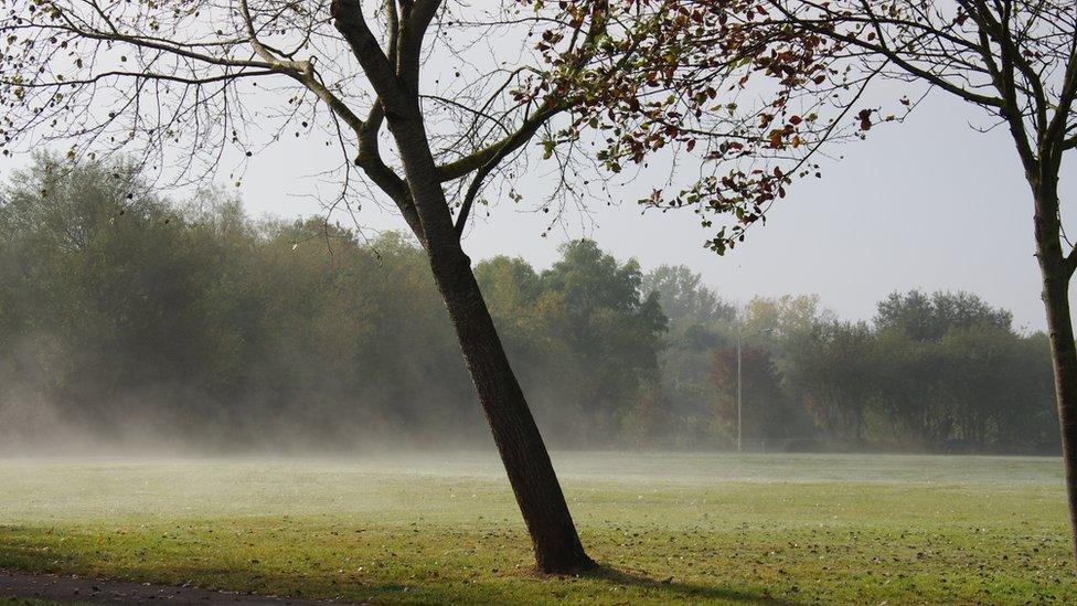 Your April images - BBC Weather