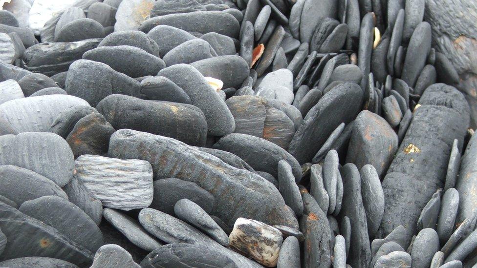 Your pictures of Scotland: 6 - 13 April - BBC News