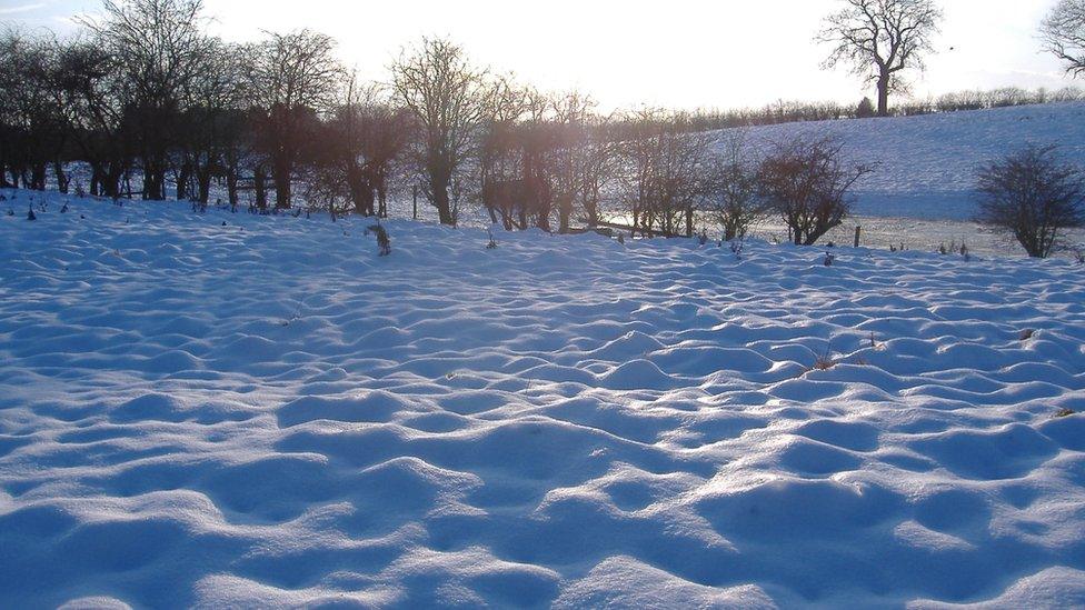 Your pictures: Fields - BBC News