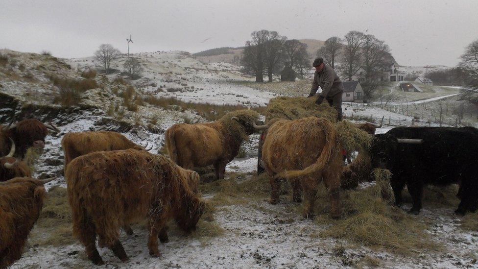 Your pictures of Scotland: 7 - 14 December - BBC News