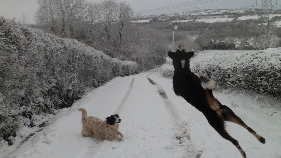 Your latest pictures of snow - BBC Weather