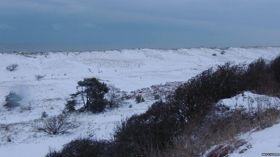 In pictures: Snow falls across Norfolk - BBC News
