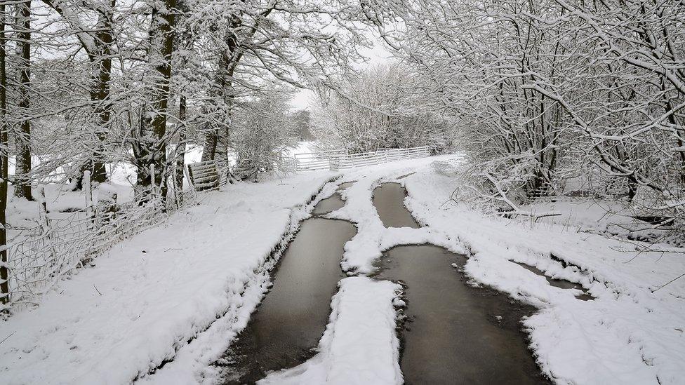 Your brilliant snow pictures - BBC Weather