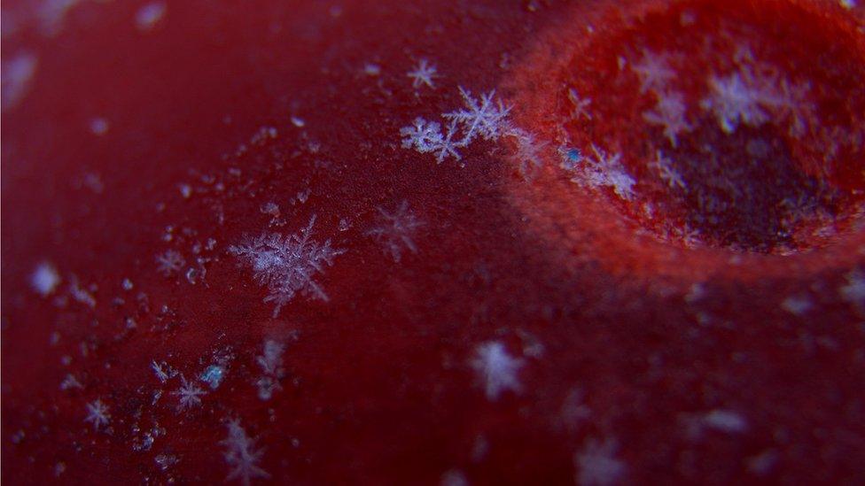 Your pictures of snow in the UK - BBC Weather