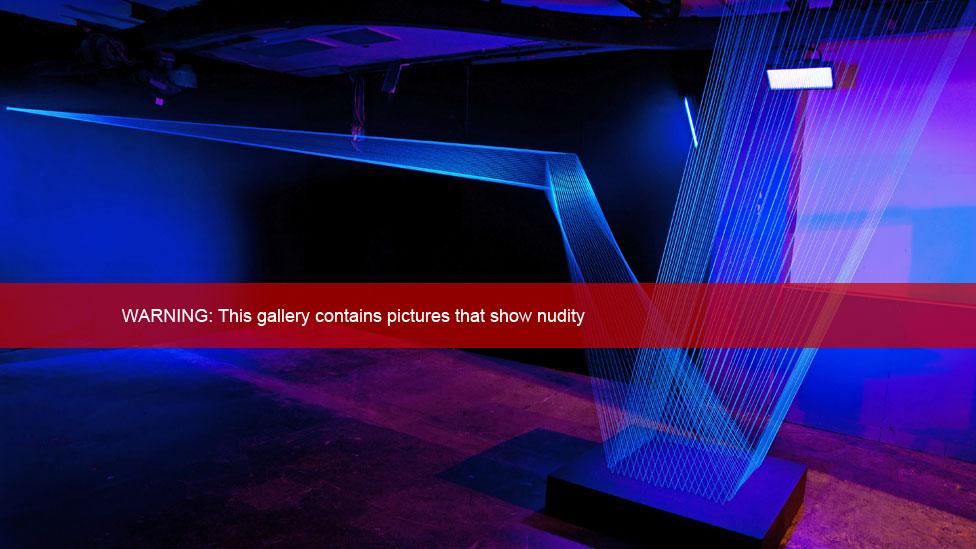 Gallery: Catlin Art Prize shortlist - BBC News