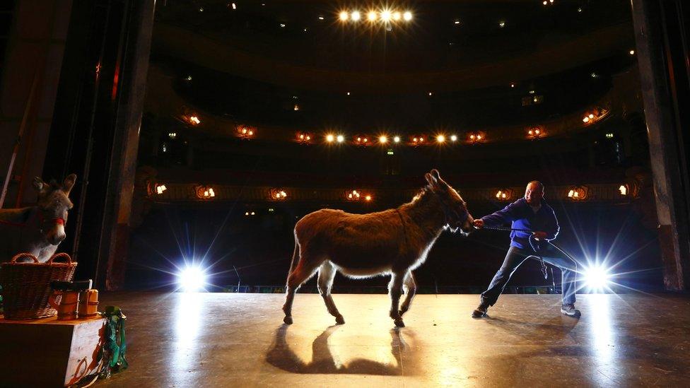 Day in pictures: 5 March 2013 - BBC News