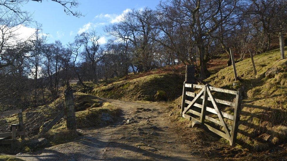 Your pictures of Scotland: 1 - 8 March - BBC News