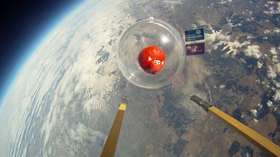 In pictures: Red Nose goes into space - BBC News
