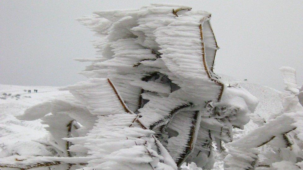 Your pictures of the recent snow - BBC Weather