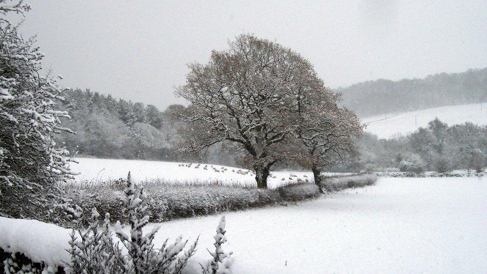 Your photos of the snow - BBC Weather