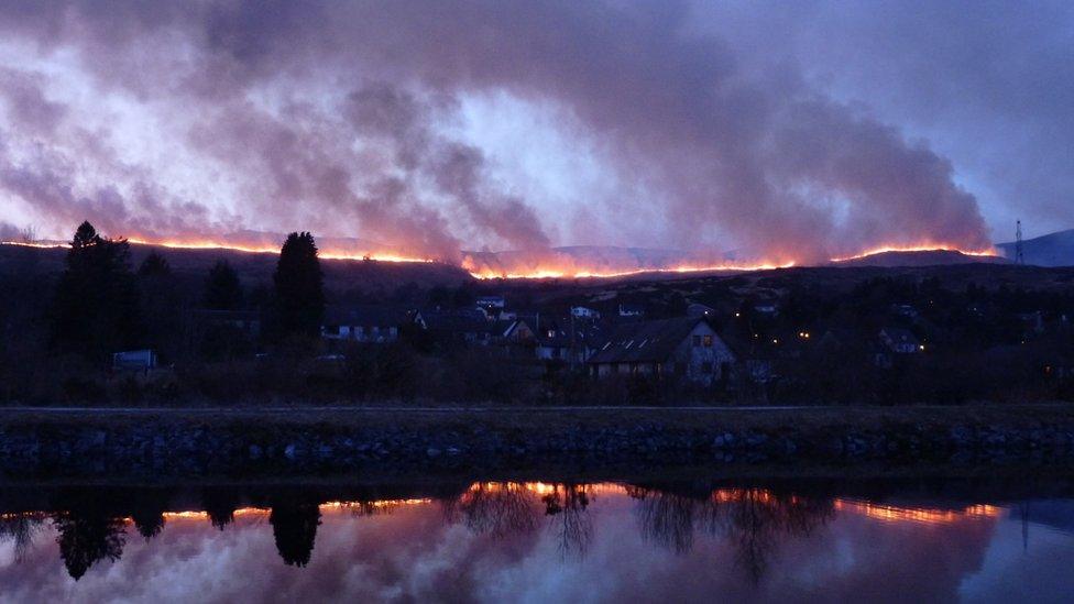 Your pictures of Scotland: 29 March - 5 April - BBC News