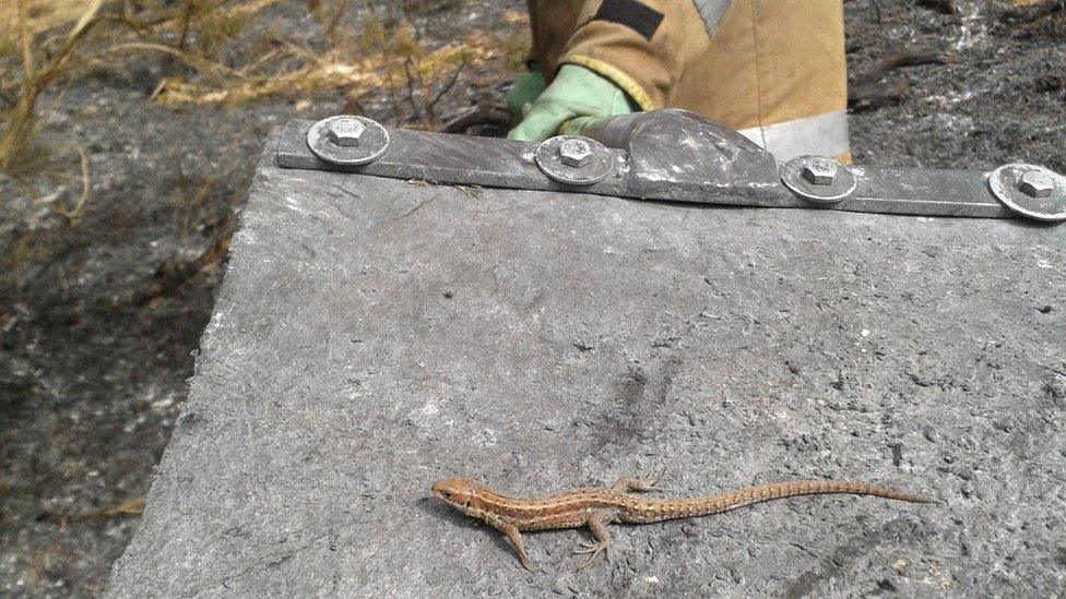 Your pictures of Scotland: 5 - 12 April - BBC News