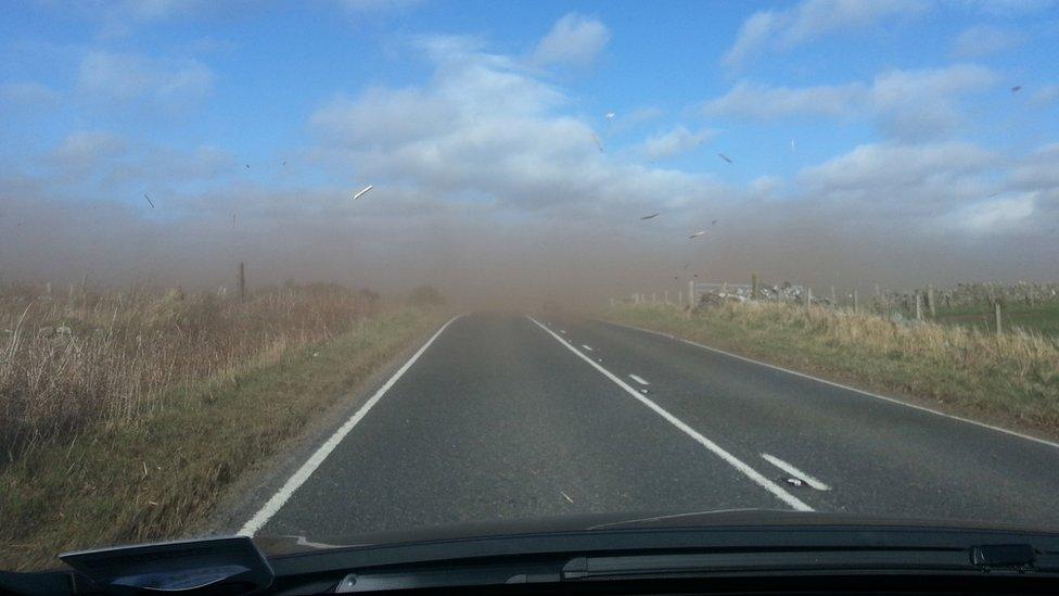 Your pictures of Scotland: 12 - 19 April - BBC News