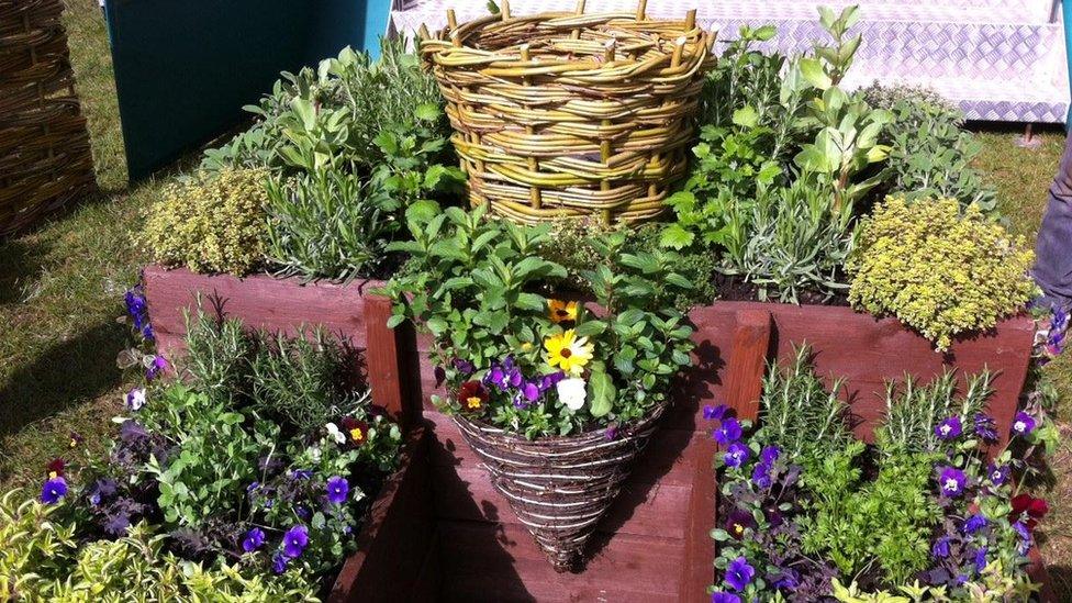 Royal Horticultural Society Show in Cardiff opens - BBC News