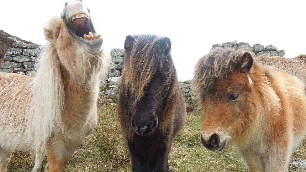 Your pictures of Scotland: 3 - 10 May - BBC News