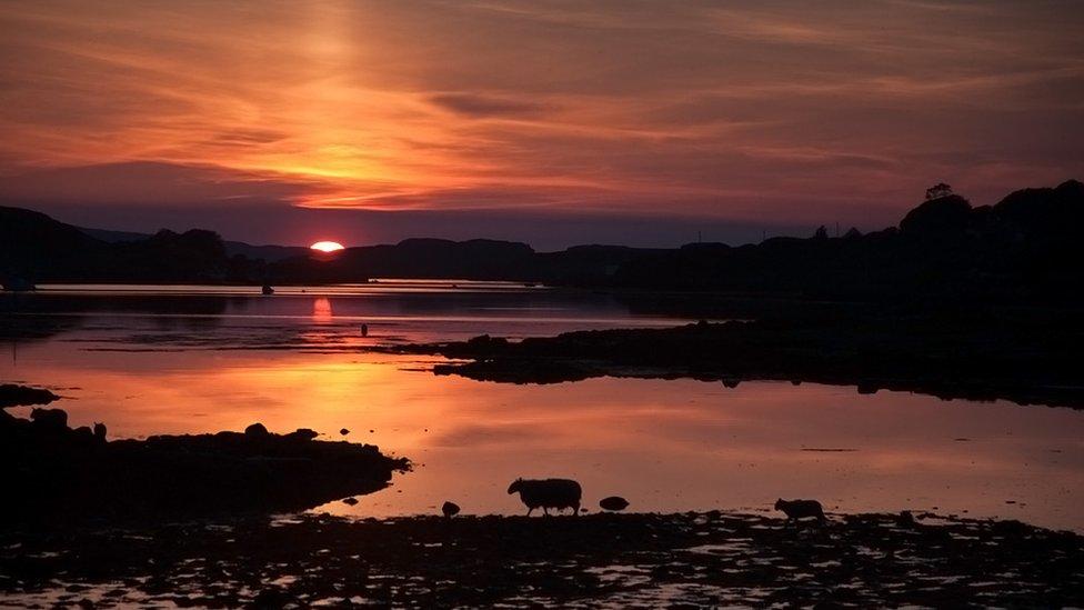 Your pictures of Scotland: 7 - 14 June - BBC News