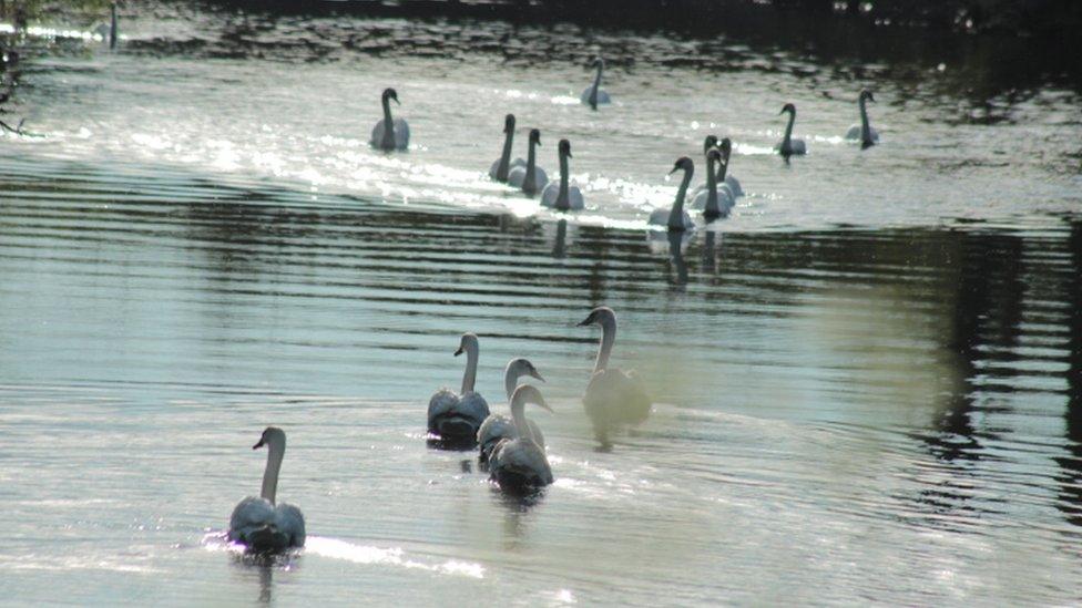 Your pictures of Scotland: 21 - 28 June - BBC News