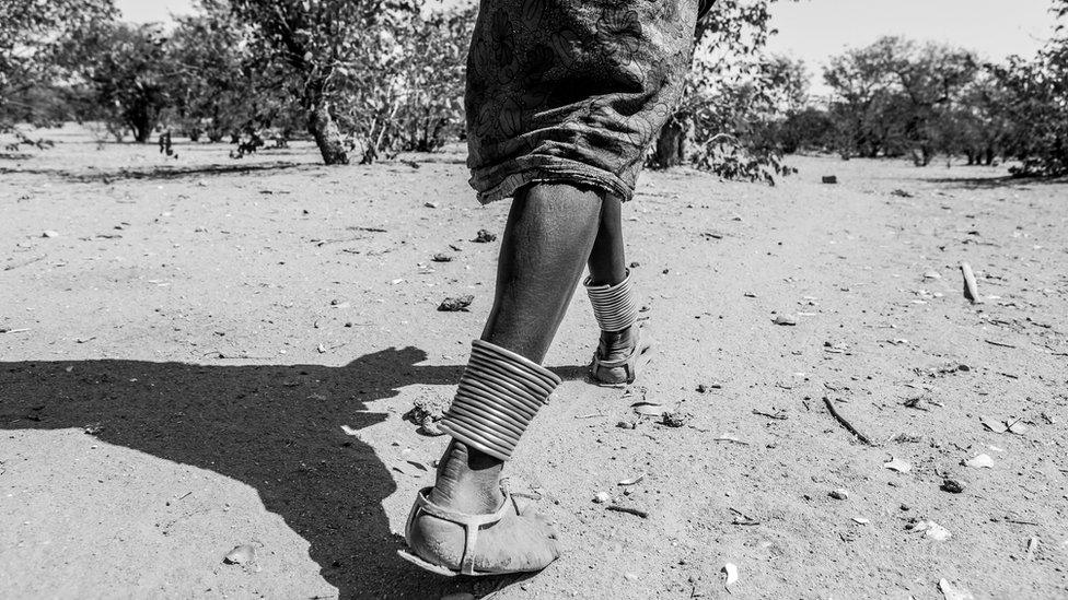 In pictures: Namibia's worst drought for 30 years - BBC News