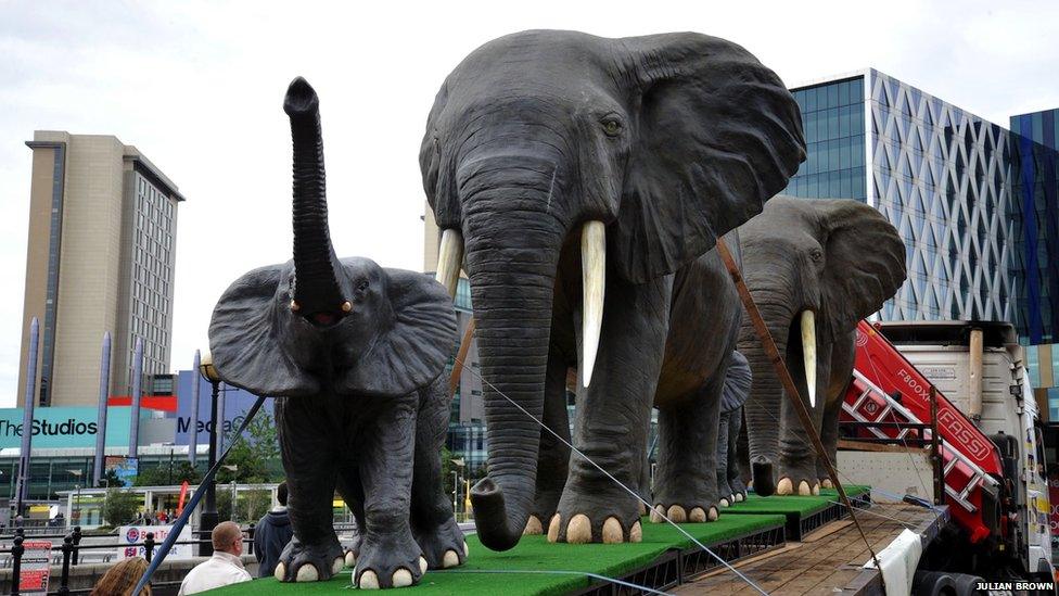 In Pictures: A jumbo tour to highlight plight of elephants - BBC News