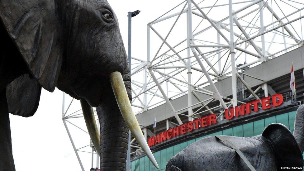 In Pictures: A jumbo tour to highlight plight of elephants - BBC News