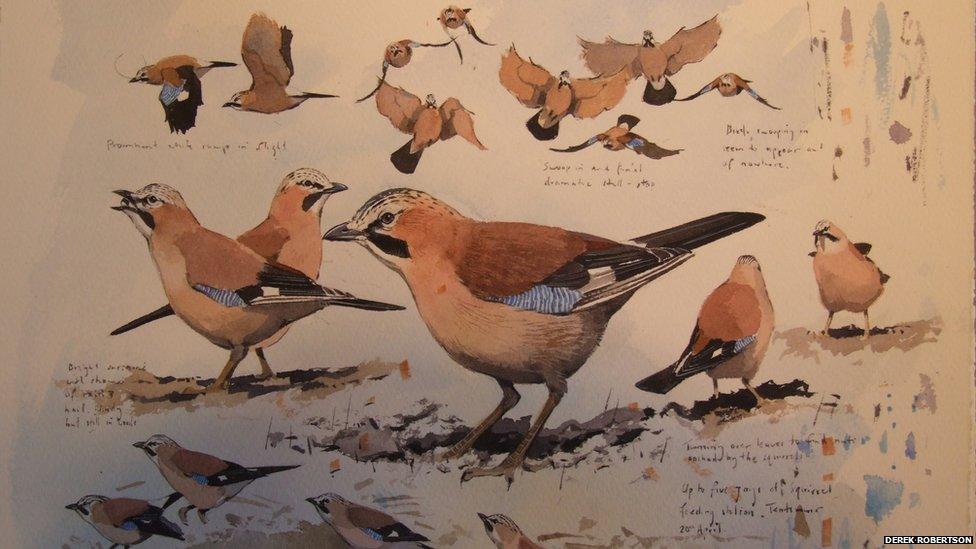 In pictures: Art showcases Fife reserve's wildlife - BBC News