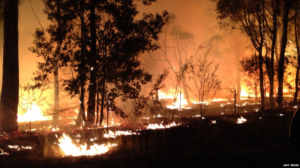 Australian bushfires: Your pictures - BBC News