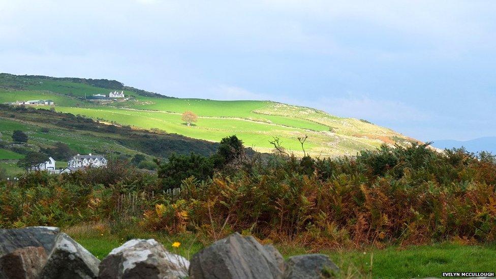 Your Pictures: Autumn arrives in Northern Ireland - BBC News