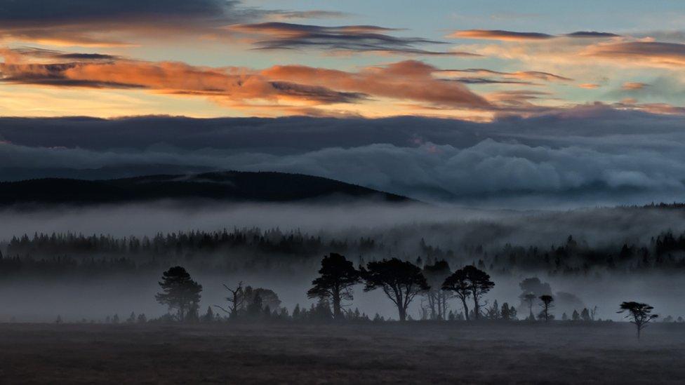 Your pictures of Scotland: 25 October - 1 November - BBC News