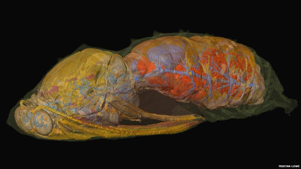 University of Manchester 'Images of Research' 2013 revealed - BBC News