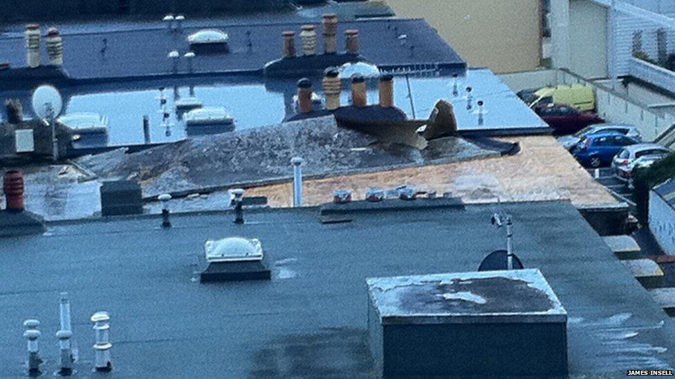 Your week in pictures - BBC News