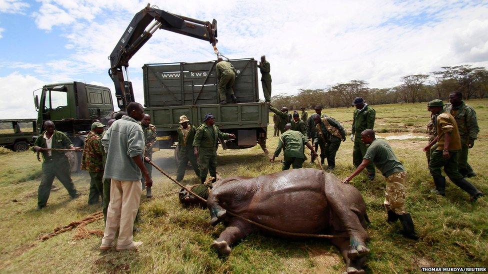 Week in pictures: 9-15 November 2013 - BBC News