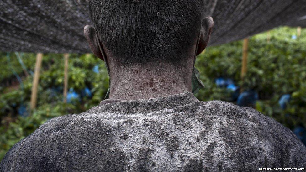 Week in pictures: 16-22 November 2013 - BBC News