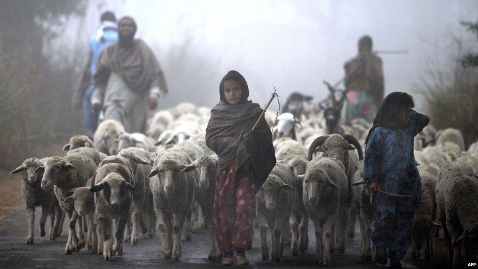 Day in pictures: 19 December 2013 - BBC News