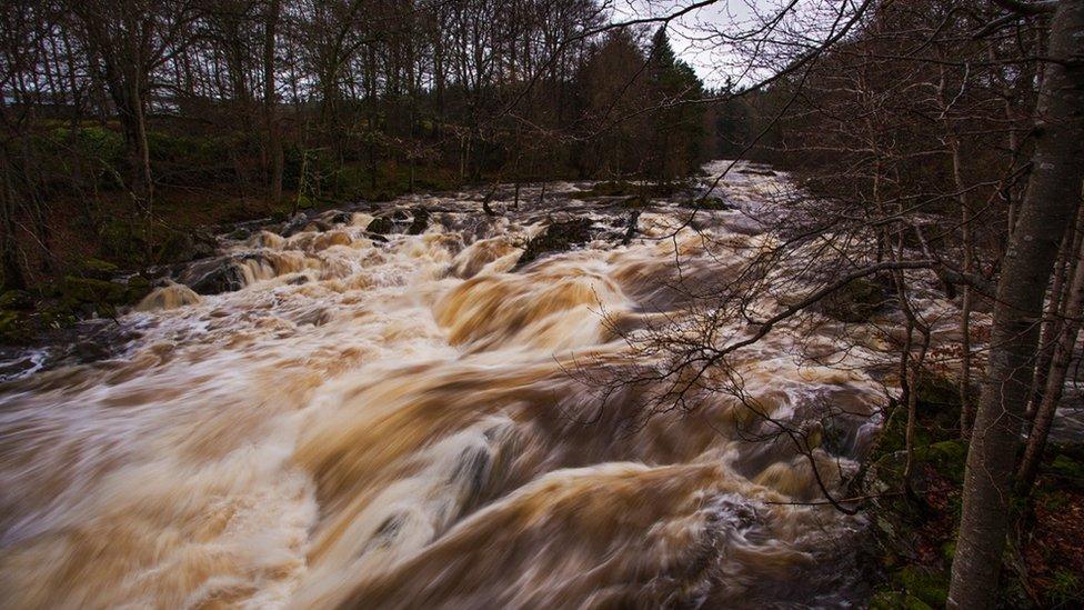Your pictures of Scotland: 17- 24 January - BBC News