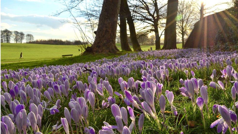 Your fabulous photos of weather - BBC Weather