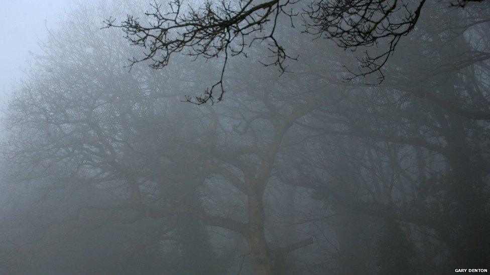 Your fog photos from England - BBC News