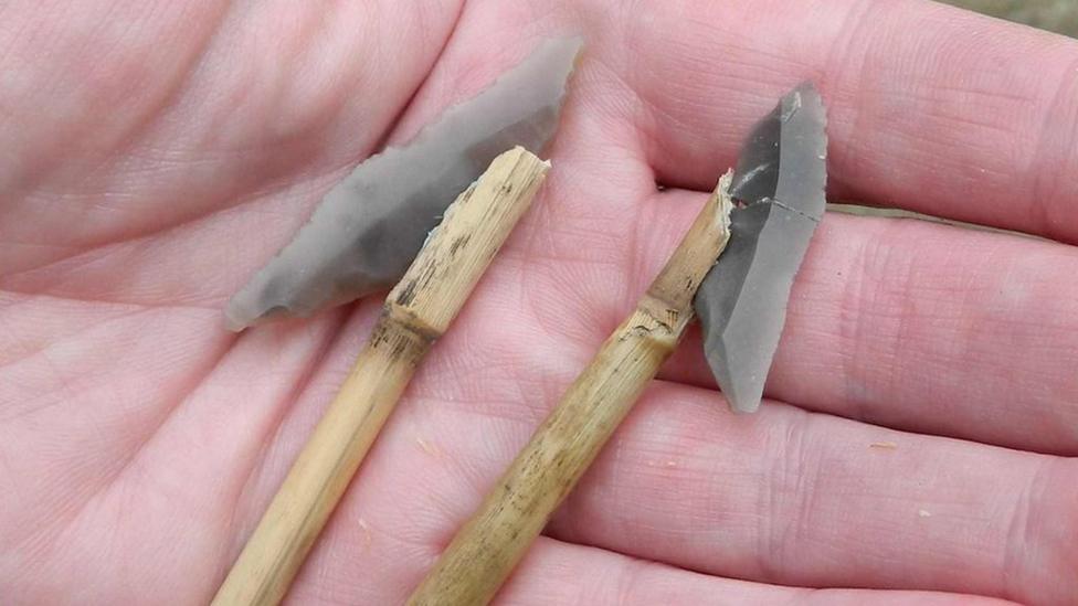 Ice Age engravings found at Jersey archaeological site - BBC News