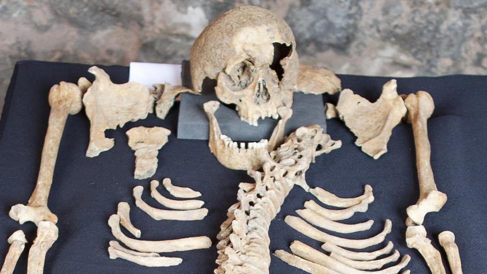 Black Death 'spread by humans not rats' - BBC News