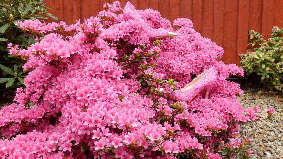 Your pictures of Scotland: 25 April - 2 May - BBC News