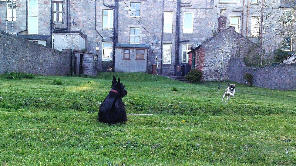Your pictures of Scotland: 25 April - 2 May - BBC News