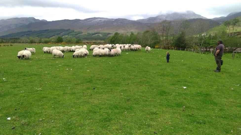 Your pictures of Scotland: 30 May - 6 June - BBC News